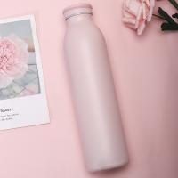 China Custom Stainless Steel Insulated Milk Bottle 350ml 450ml 600ml for Camping Outdoor for sale