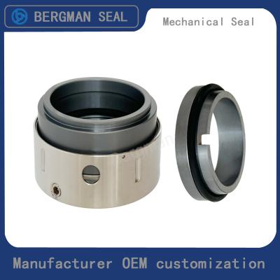 China BERGMAN 58B 59B 25mm-100mm G60 G4 G6 G9 G13 G16 BS Bo BP Pump Mechanical Seal for sale