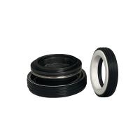 China FT 12mm 16mm 20mm Automotive Water Pump Seal Replacement Ceramic Ring for sale