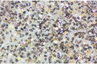 China CBN Chemical Resistant Cubic Boron Nitride Abrasive Diamond Dust Polishing Compound for sale