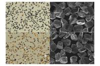 China CBN Micron Synthetic Diamond Powder 8 - 16um Black Diamond Powder Coating for sale