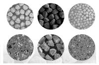 China Nickel Coated CBN Synthetic Diamond Dust Cubic Boron Nitride Abrasive 270/325 Mesh for sale
