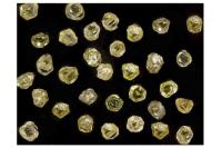 China Grinding 80/100 Synthetic Diamond Powder RVD Vitrified Resin Bond Diamond for sale
