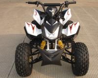 China Mid Size Four Wheel ATV 110cc Fully Automatic With Reverse Front Double Drum Brake for sale