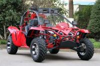 China 1100CC 4 Cylinder 4 Stroke Forest Road Adult Go Kart With Independent Suspension for sale
