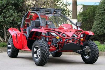 China 1100CC 4 Cylinder 4 Stroke Forest Road Adult Go Kart With Independent Suspension for sale