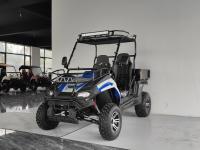 China Gas Utility Vehicles 200EUX (EFI) Utv Automatic CTV With Reverse Flips Down 32 Degrees for sale