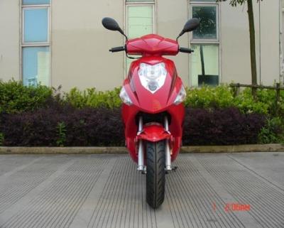 China 50cc Adult Motor Scooter With 12