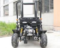 China 110cc Small Size Motorized Go Karts , Adult Go Kart Automatic Clutch 3 Speed With Reverse for sale