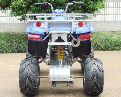 China Water Cooled 250cc Utility Vehicles ATV With Electric Start / Manual Clutch for sale