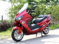 China 300cc CVT Water Cooled Engine Adult Motor Scooter Front Disc Rear Disc Brake for sale