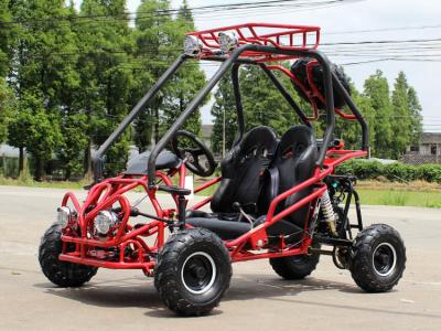 China 110cc Fully Auto Go Kart Buggy Air Cooled CDI Electirc Start With Rear Disc Brake for sale