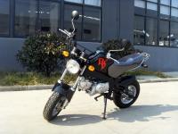 China 125cc Skyteam Motorcycle Front Disc Rear Drum Brake With 4 Speed Gear 7 L Oil Tank for sale