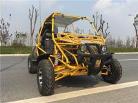 China 4 Stroke CDI CTV Water Cooled 250CC Go Kart Buggy With Electric Start for sale
