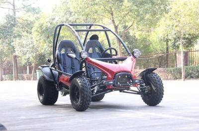 China Horizontal Single Cylinder 4 Stroke Double Seat Go Kart With Front / Rear Disc Brake for sale