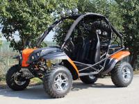 China Forest Road / Riverbed 2 Seater Adult Go Kart Buggy With Front And Rear Disc Brake for sale