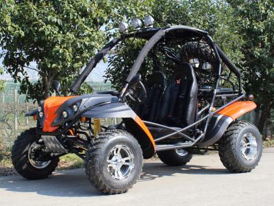 China Forest Road / Riverbed 2 Seater Adult Go Kart Buggy With Front And Rear Disc Brake for sale