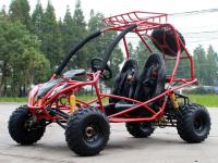 China Head Track Air Cooled Adult Double Seat Go Kart 200cc With Disc Brake for sale
