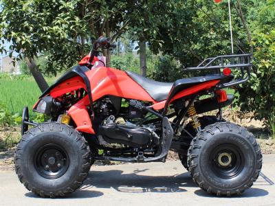 China 200C Electric Start Manual Clutch Single Cylinder Youth Racing ATV 10