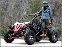 China Single Cylinder 4 Stroke Air Cool CVT , Chain Drive 200CC Go Kart Buggy for sale