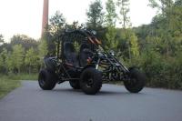 China LARGE Single Cylinder 4 Stroke 200cc Dune Buggy For Forest Road / Riverbed for sale