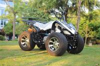 China 13.9HP 250CC Youth Racing ATV Chain Drive ATV With Front Drum Brake for sale