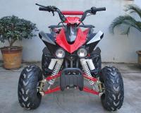 China Automatic Clutch Youth Racing ATV 110cc With Front Drum Brake 60km/H for sale