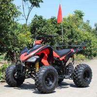 China 200cc Four Wheel ATV , 8