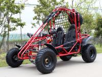 China Single Cylinder 4 Stroke Horizontal Type Air Cooled 200cc Go Kart for sale