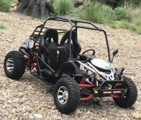 China 250cc Single Cylinder 4 Stroke Cdi Ctv Go Kart Buggy With 1 Forward Transmission for sale