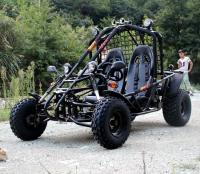 China Air Cooled Two Seater Go Kart Electric Start Chain Drive 150cc Large Size for sale