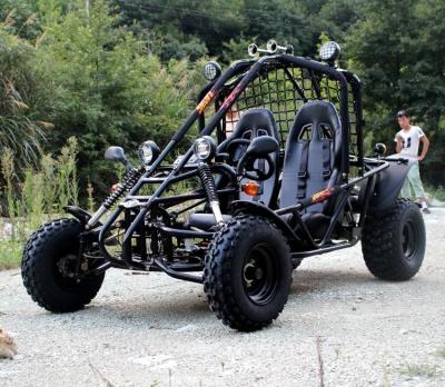 China Air Cooled Two Seater Go Kart Electric Start Chain Drive 150cc Large Size for sale