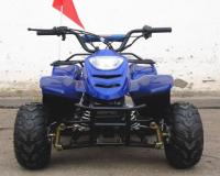 China Chain Drive Youth Electric Atv 10cc Air Cooled Single Cylinder With Two Wheel for sale