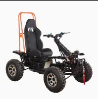 China Factory 6000W 4 Wheel Drive Beach Desert Snow Outdoor Use 60V 50ah Lithium Mobility Electric Quad Buggy for sale