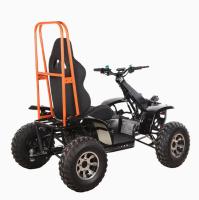 China Factory 6000W 4 Wheel Drive Beach Desert Snow Outdoor Use 60V 50ah Lithium Mobility Electric Quad Buggy for sale