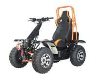 China Factory 6000W 4 Wheel Drive Beach Desert Snow Outdoor Use 60V 50ah Lithium Mobility Electric Quad Buggy for sale