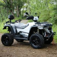 China Utility Vehicle Atv 500cc Atv 25L Big Oil Tank EFI Starting Model for sale