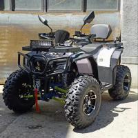 China Hot Selling ATV 200cc 300cc Quad Bike Popular Chinese Power Engine Wheels Brake Transmission Automatic for sale