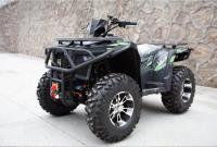 China 250cc High Quality Gasoline 4X4 off Road ATV for Sale China Suppliers for sale