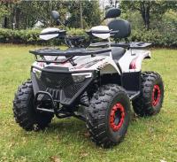 China 125cc Fuel Automatic Four-Wheel Off-Road ATV Adult All-Terrain Bull Sports Recreational Vehicle for sale