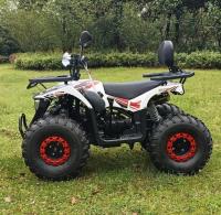 China 125cc Fuel Automatic Four-Wheel Off-Road ATV Adult All-Terrain Bull Sports Recreational Vehicle for sale