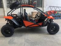 China 1000CC New Designed Go Kart With CVT Transmission And EFI for sale