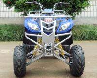 China 200c Large Size Youth Racing ATV 10
