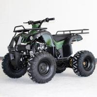 China 110cc Horizontal Type Youth Racing ATV CVT Transmission 7L Fule Tank Capacity for sale