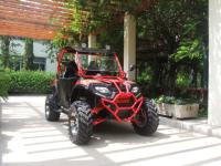 China 250cc 2X4 Gas Utility Vehicles Led Light Double A - Arm Suspension for sale