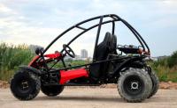 China Automatic 150cc Adult 2 Person Go Kart With Front And Rear Oil Shock for sale