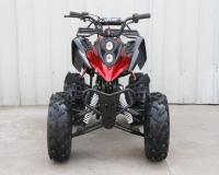 China Hand Brake Operation Automatic Sport Atv 125cc Utility Vehicle Atv 101kg for sale