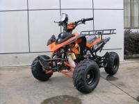 China Electric Starting Youth Racing ATV 110cc Displacement 7