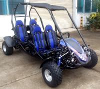 China Steel Wheel Air Cooled Load 500lbs Go Kart Buggy for sale