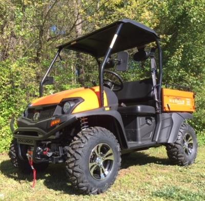 China UTV 2WD 4WD Fuel Injected 25.8 HP Gas Utility Vehicles for sale